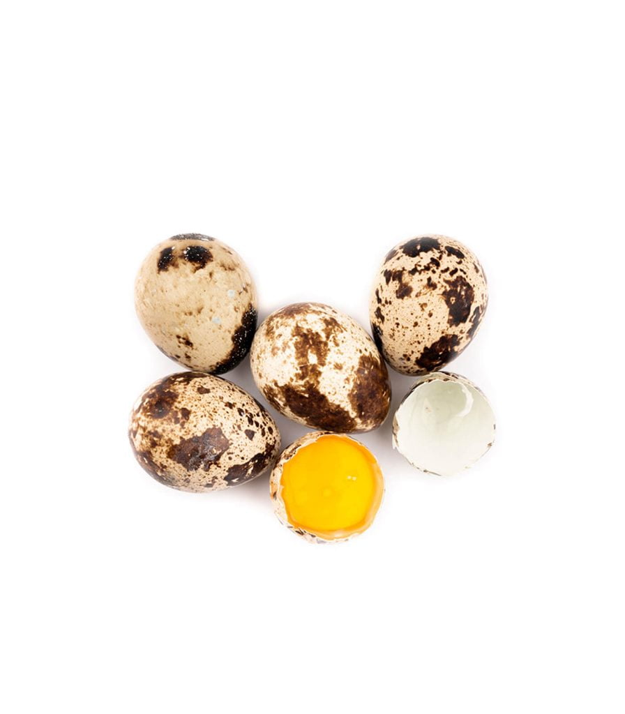 Doble Docena de Huevos de Codorniz - Huevo de codorniz - Urgasa Shop